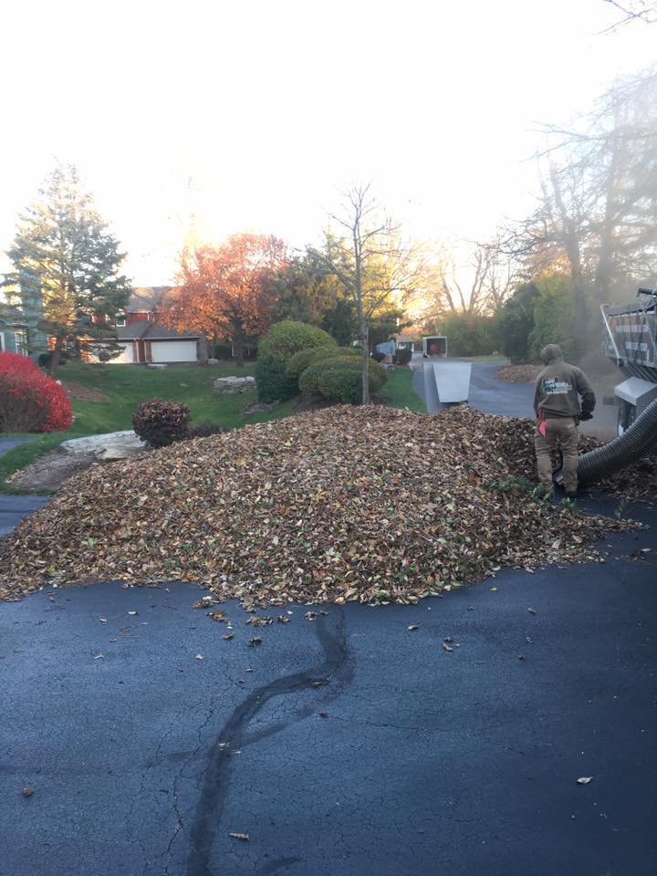 Leaf Removal & Fall Services - Ohio Green Works LLC - Professional ...